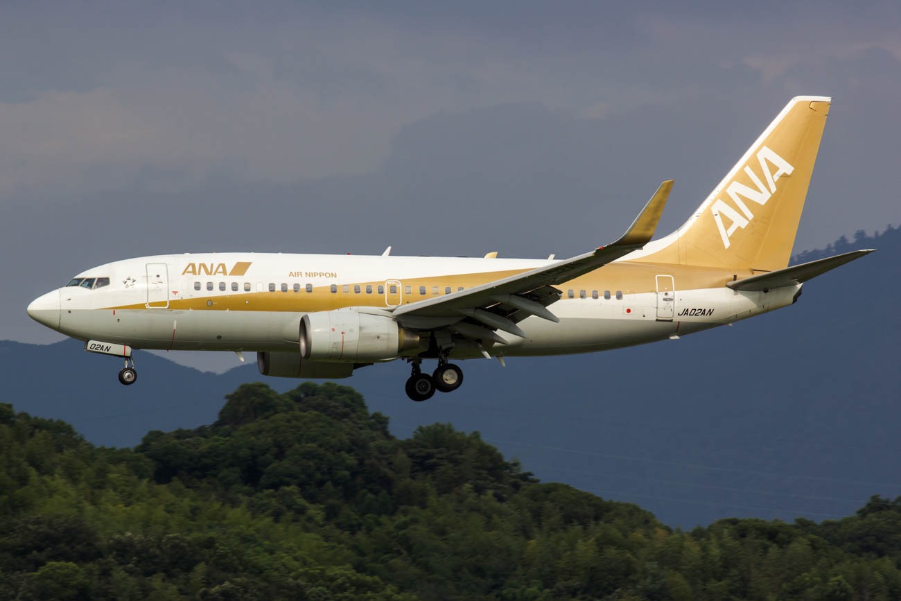 Flying on a "Super Dolphin" and a Brief History of ANA's 737s - KN Aviation